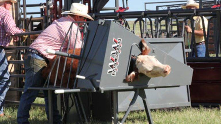 Chutes & Head Gates - Tri-L Manufacturing